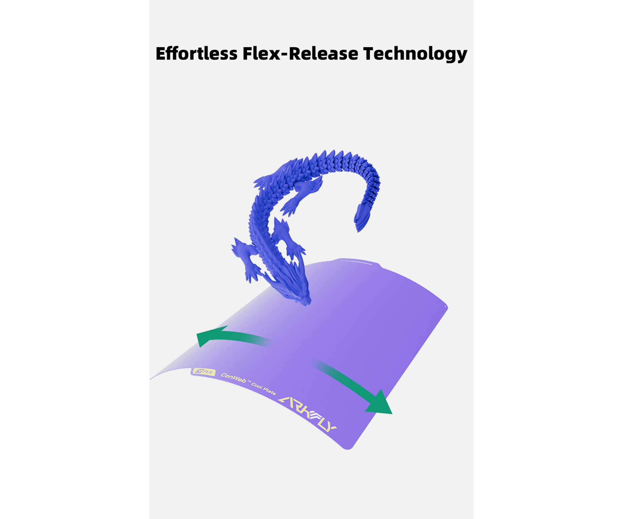 Conweb™ Build Plate – Phaetus Store