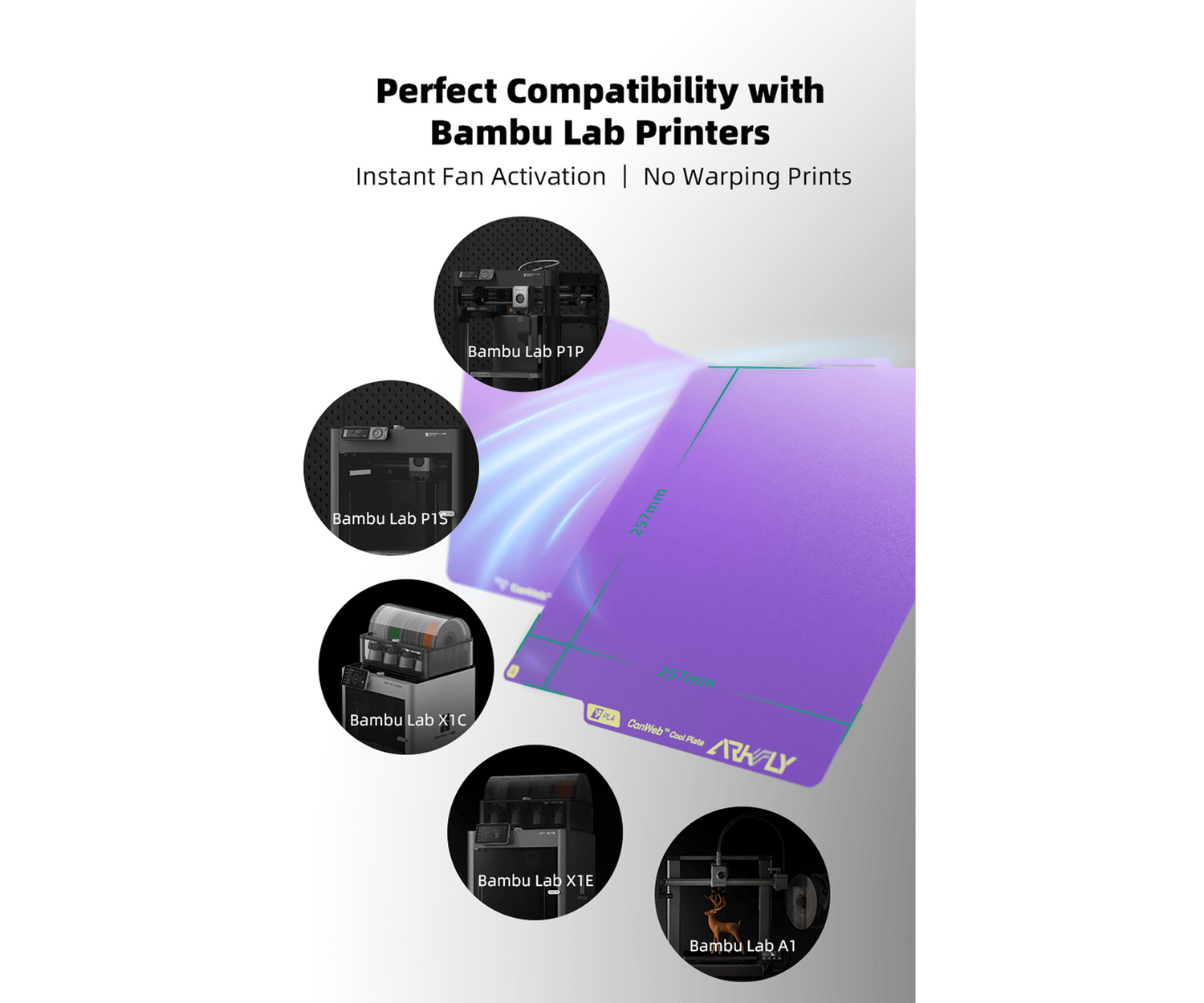 Conweb™ Build Plate – Phaetus Store